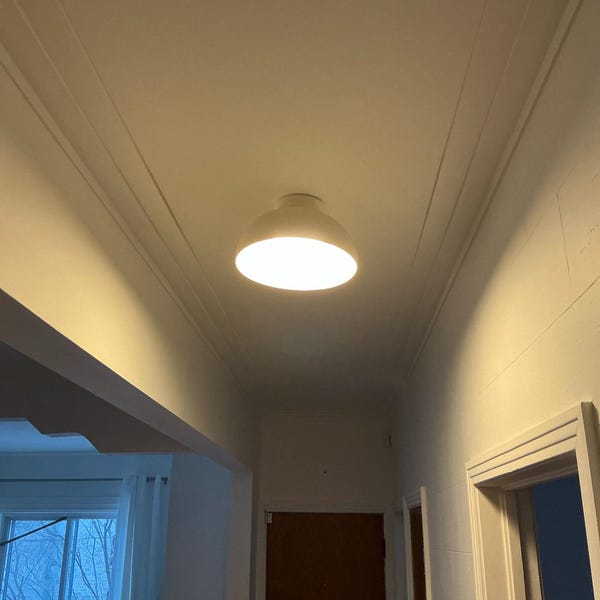 Large Scalloped Montebello Pendant Light Fixture - Bone - Etsy