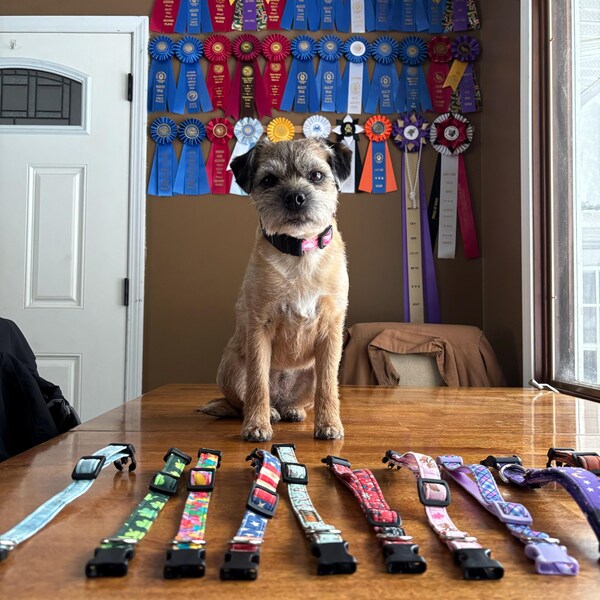 Fi Series 2 Collar Adapter - Etsy