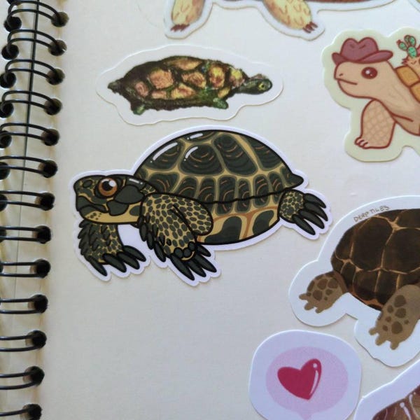 Watercolour on Wood Rainbow Ball Python Snake Print - Etsy