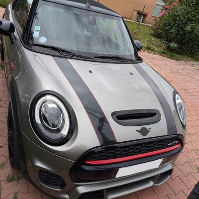 Mini R56 Monte Carlo Side Stripes / Stickers Exact Factory Size and ...