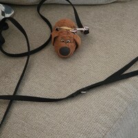 Ty Beanie Boo - Rubble the Dog From Paw Patrol (6in) No Tag - Etsy Canada