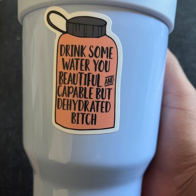 Drink Some Water Stickerfunny Stickerwaterproof Stickerscar ...