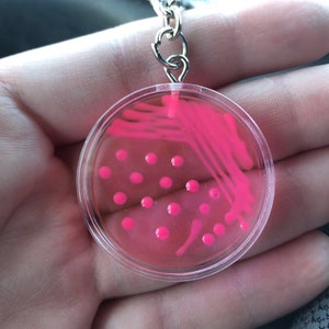 E.coli MAC Petri Dish Keychain / Microbiology Agar Art / Bacteria ...