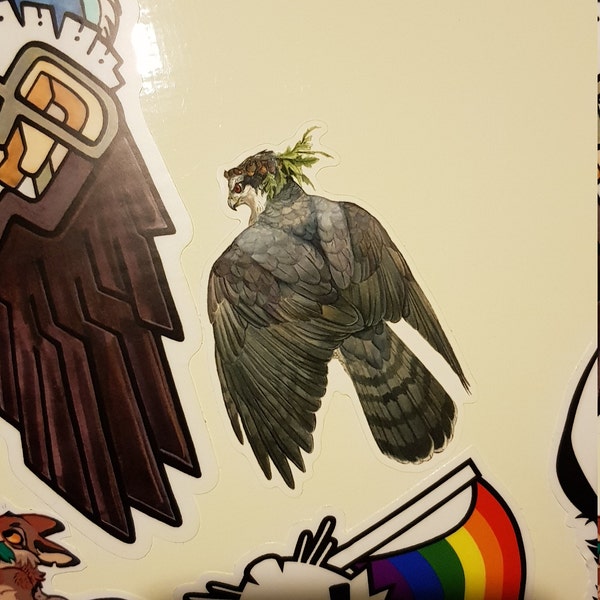 Vinyl Bird Stickers - 7 Designs to Choose From - Hawk Falcon Owl Raven ...