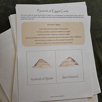 American Robin Life Cycle Pack Homeschool Printable 3-part Cards Nature ...