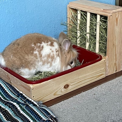 Rabbit Hay Feeder With Litter Box, Made by Asaswood - Etsy