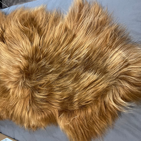 Genuine Icelandic GOLD Sheepskin Rug, Pelt, Carpet, Giant Sheepskin Rug ...