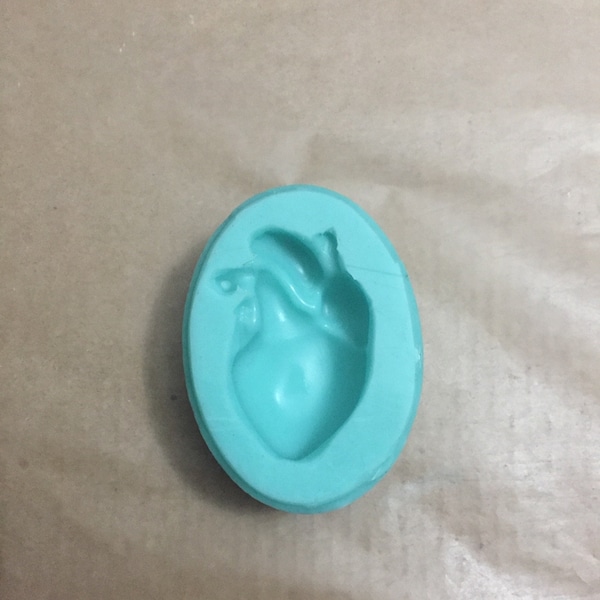 Human Heart Plastic Mold or Silicone Mold, Resin Mold, Heart Mold, Clay ...