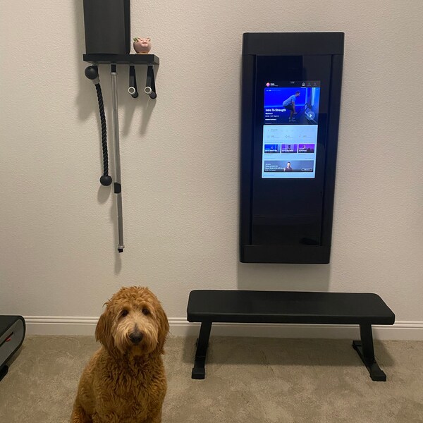 Tonal Compatible Double D Pulldown Handle With Special Tonal T-lock ...