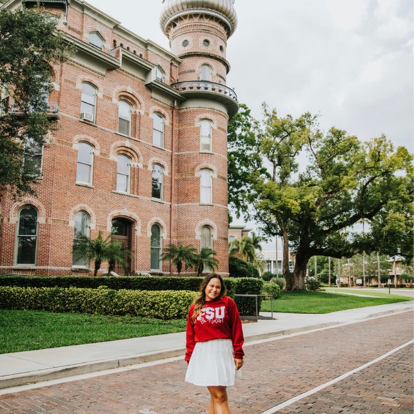 Southeastern Conference Mascot Shirt, SEC Sports, Spirit Shirt - Etsy