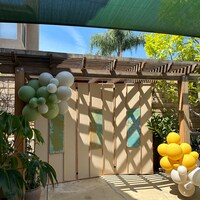 Boho Party Decor, Green Neutrals Balloon Garland, Balloon Party Kit ...