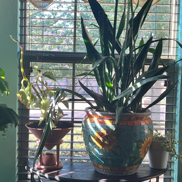 The FUNNEL Planter With Stand and Water Catch for Indoor House Plants ...