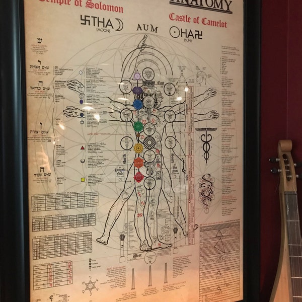 Occult Anatomy 2020 - Large Occult Poster (24x36), Occult Illustration ...