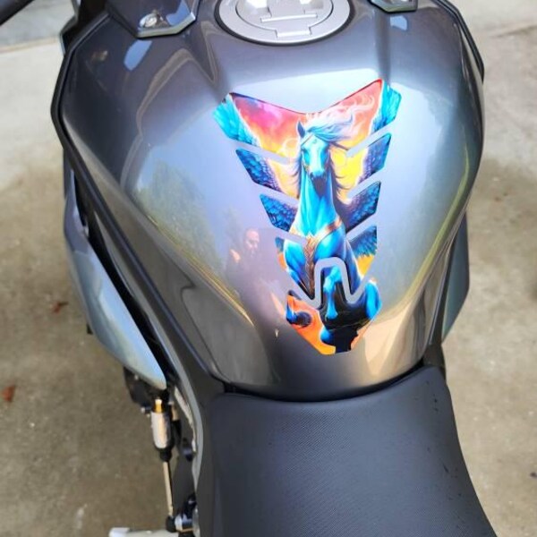 Bear Universal 3D Tank Pad Sticker Decal for Motorcycle or Trike ...