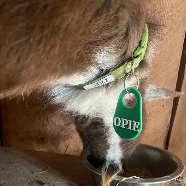 Custom Goat and Sheep Collar Tags - Etsy