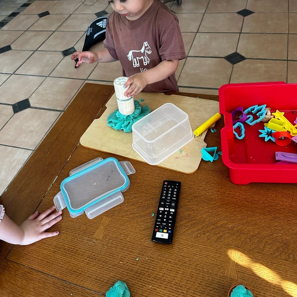 Life Cycle Tray, Wood Life Cycle Board, Metamorphosis Tray, Wooden Life ...