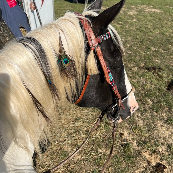 Equestrian Knowledge Diagrams & Worksheets - Horse Diagrams, Equine ...