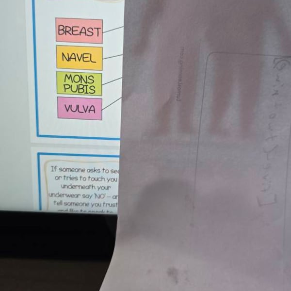 Female Reproductive System Busy Bundle Human Anatomy Printable Activity ...