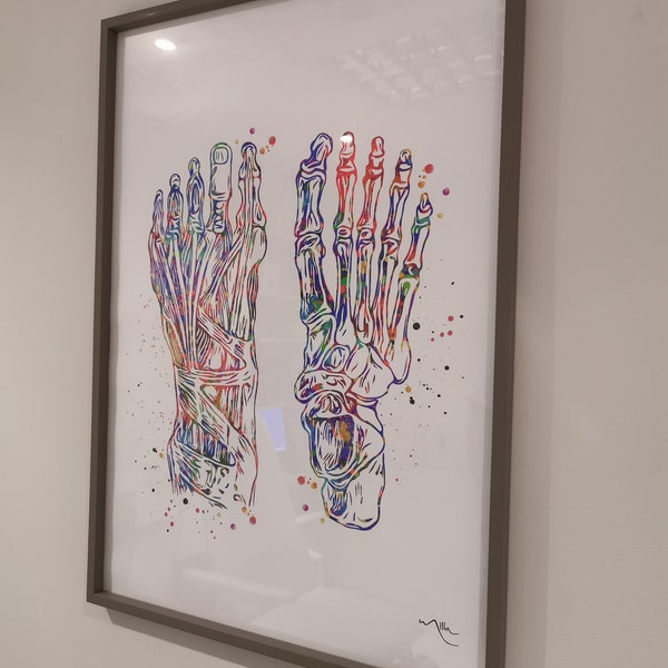 Foot Anatomy Watercolor Print Skeletal Feet Muscles Medical Art Science ...