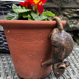 Mouse Pot Buddy Pot Hanger Bronze Coloured Coloured Mouse Pot Hanger ...