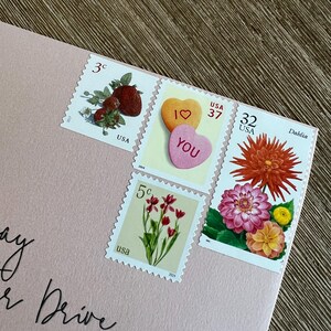 Bobcat Postage Stamp for Snail Mail Letters and Penpals // Vintage ...