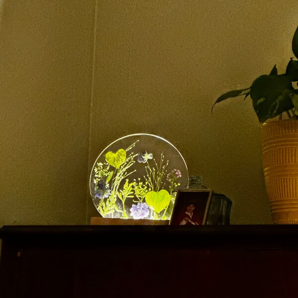 Timeinhand|natural Flowers Night Light With Wood Base,colorful Pressed ...