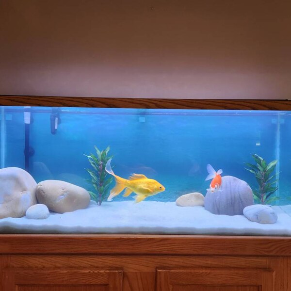 4-5lbs River Rocks Colorful Stones Smooth Aquarium Rocks Terrarium ...