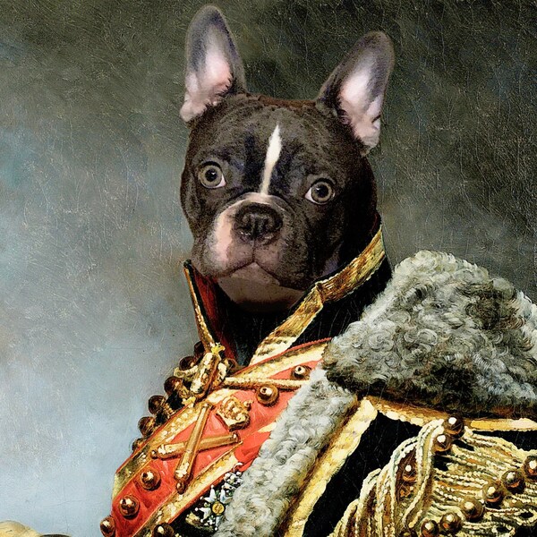Custom Pet Soldier Portrait, Custom Dog Portrait, Pet Portraits, Pet ...