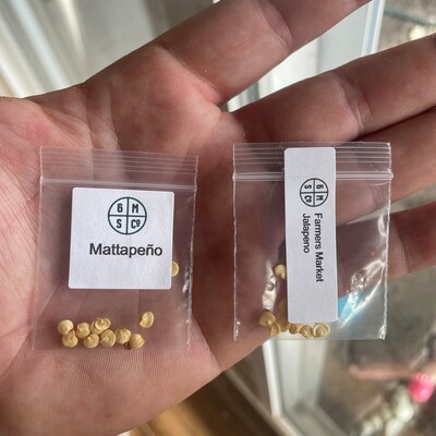 Dragon Cayenne Hot Pepper Seeds - Etsy