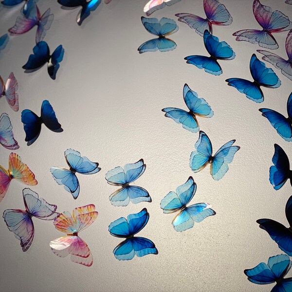 Blue Rainbow Decorative Butterflies - 3D Plastic Butterflies - Ombre ...