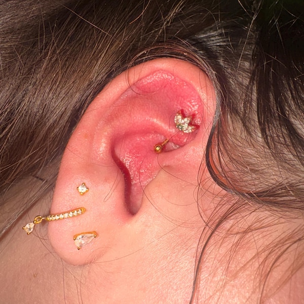 16G Lotus Crown CZ Curved Barbell/rook Earring/eyebrow Ring/rook ...