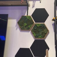 Hexagon Moss Wall Art Moss Wall Decor Preserved Moss Art Framed Moss ...