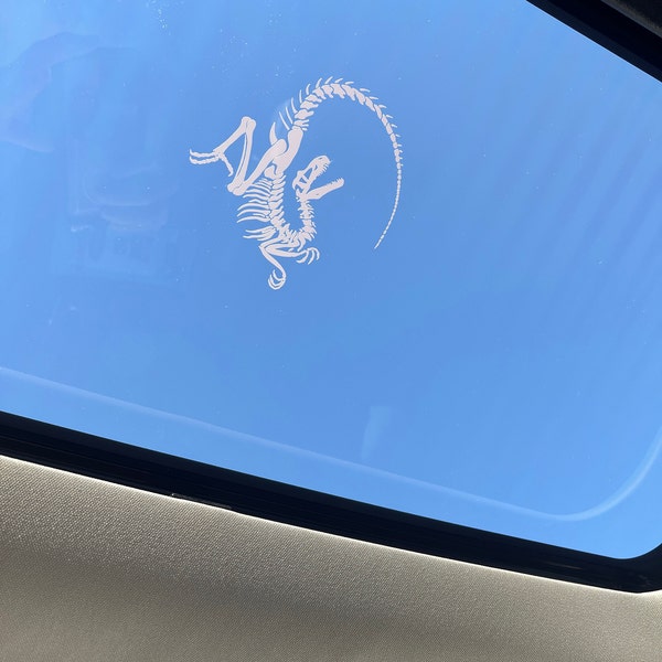 Raptor or Stegosaurus Skeleton Car Decal - Etsy