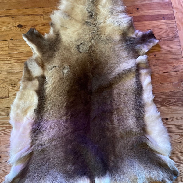 Genuine Icelandic GOLD Sheepskin Rug, Pelt, Carpet, Giant Sheepskin Rug ...