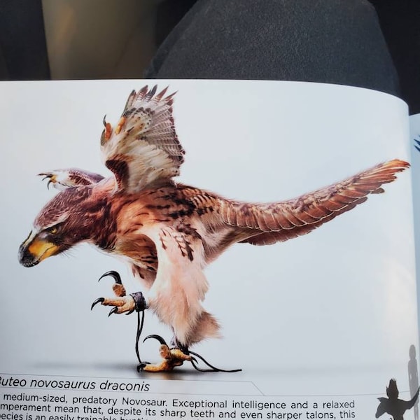 NOVOSAURS 2 Book - Etsy