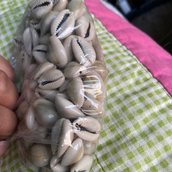 5 to 100 Pieces Clearance Sale Open Back Shells Real Ring Tops Cowrie ...