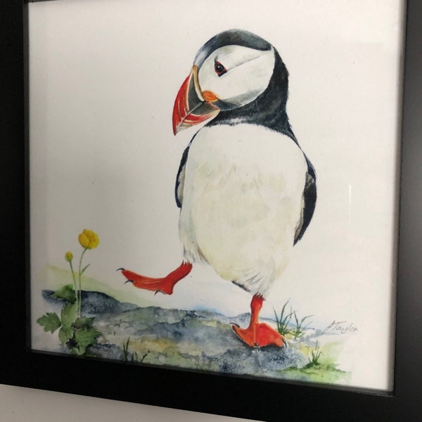 PUFFIN: Signed Print of a Watercolour Painting by Jan Taylor - Etsy