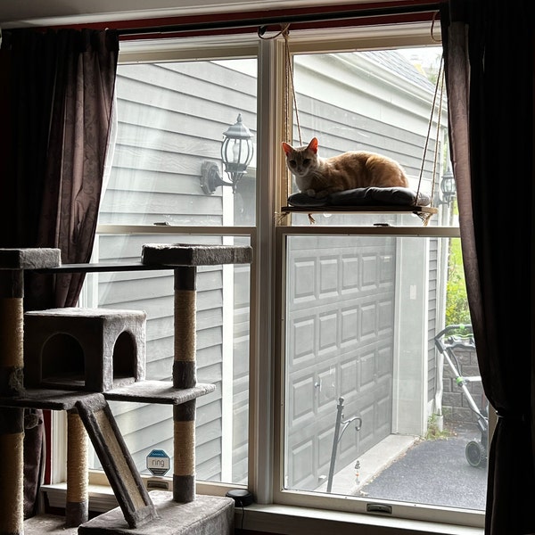 Cat Window Bed, Wood Cat Furniture, Perfect Cat Bed for Window, Best ...