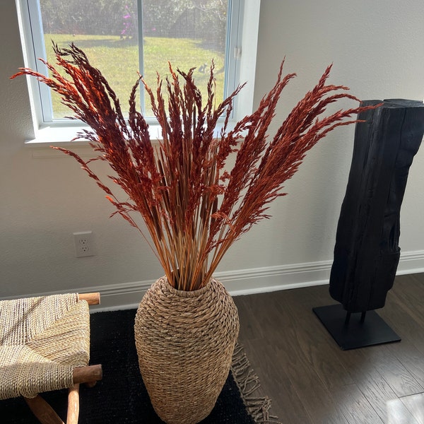 Wild Oats Natural/ Burnt Oak, Dried Flowers, Wedding Flowers, Home ...