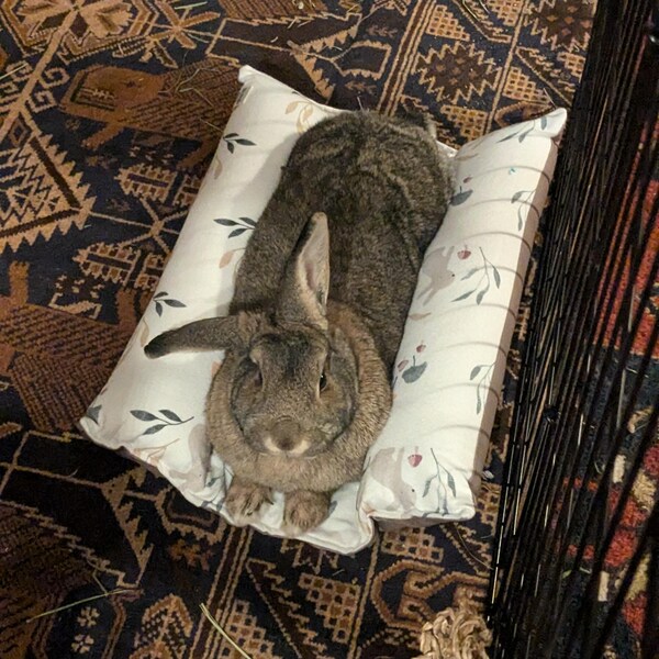 Seagrass Mat Replacements for Enrichmat™ Snuffle Mat Foraging ...