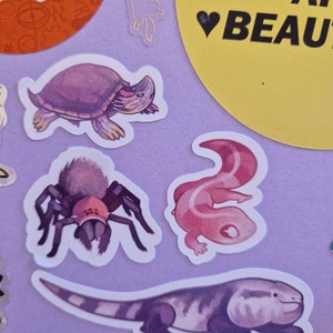 Boop a Snoot Ll Sticker Pack - Etsy