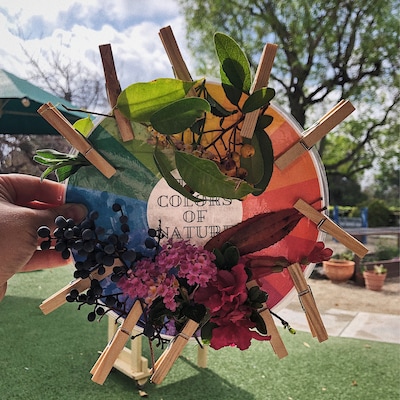 Nature Color Wheel Nature Scavenger Hunt Nature Study - Etsy UK