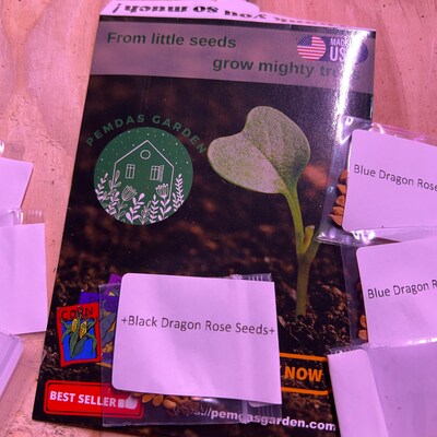 Black Dragon Rose Seeds Perennial Authentic Seeds Flowers Easy to Grow ...