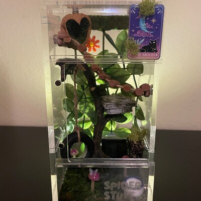 Jumping Spider Ledge With Feeder Dish - Etsy