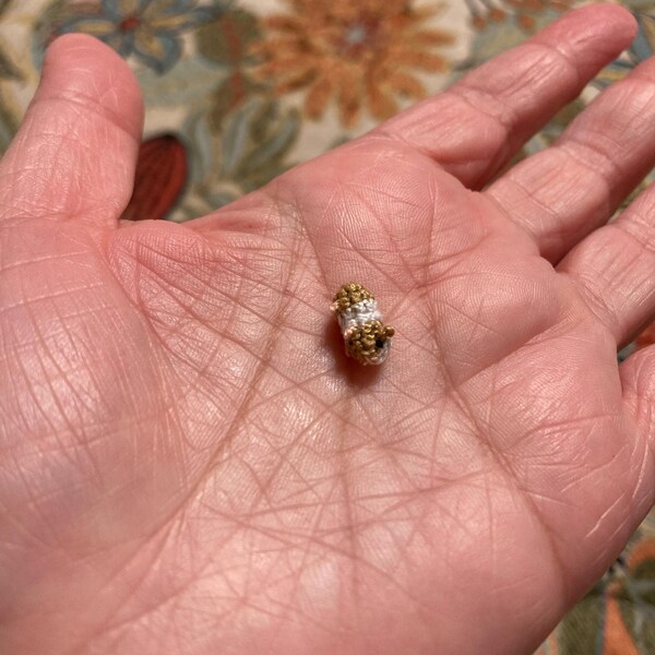 Miniature Ladybug Micro Ladybug Crochet Ladybug Miniature Ladybird ...