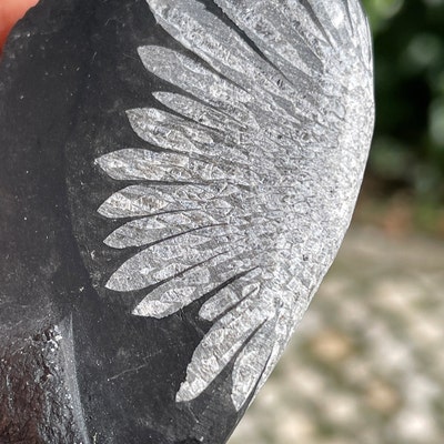 Rainbow Obsidian Puffy Star // Obsidian Star // Mexican - Etsy