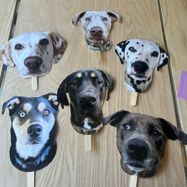 Custom Pet Face on a Stick, Party Photo Booth Props - Etsy