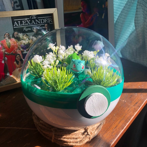 Pokemon Terrarium Extra Large / Bulbasaur/ Pokeball / Diorama / Gift ...
