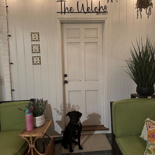 Air Ride Suspension Tank Mount Air Ride Trunk Tray All in One Bracket ...