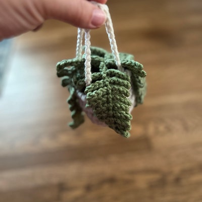 Car Fern Crochet PATTERN by Pamelambie Car Plant - Etsy